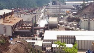 Our Business – PT Merdeka Copper Gold Tbk