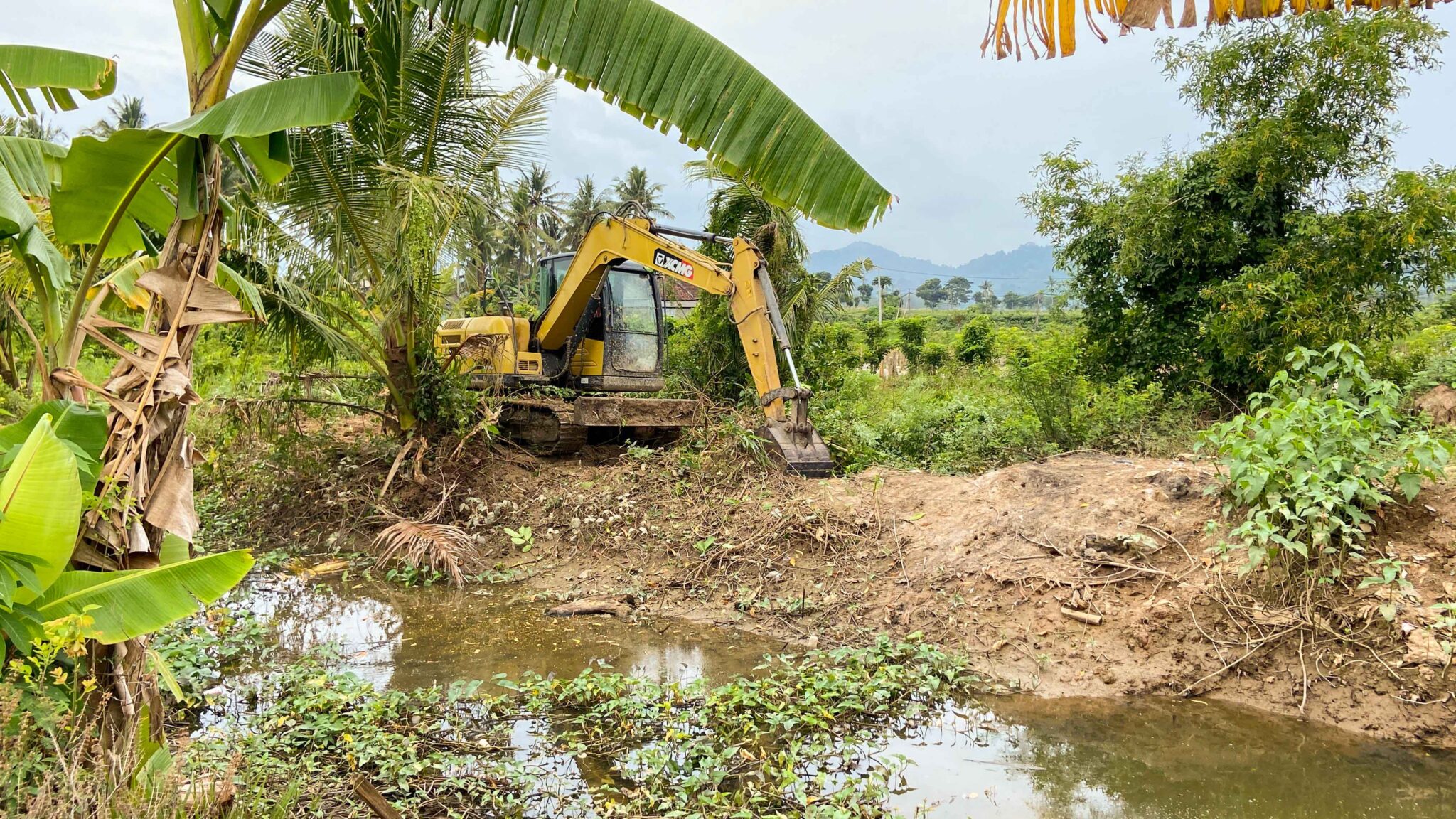 PT Merdeka Gold Resources Tbk Officially Listed on IDX, Raises Rp4.66 ...